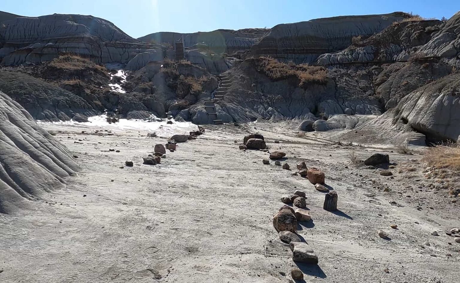 Dinosaur Provincial Park Camping, Canada - A Perfect Guide