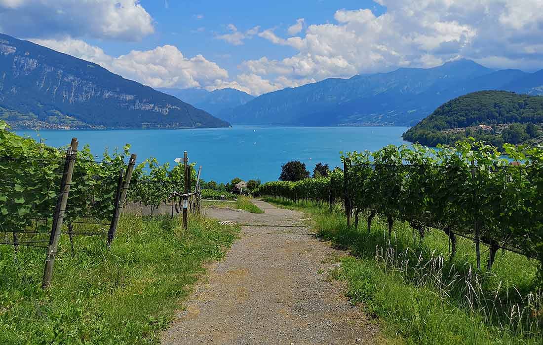 Explore Spiez Switzerland: Guide 2024 and Local Attractions
